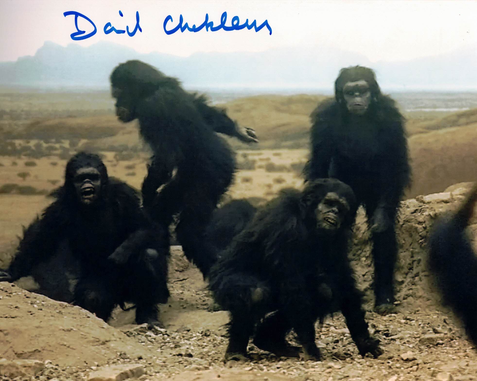DAVID CHARKHAM - Ape in 2001 A Space Odyssey - Stanley Kubrick- hand s ...